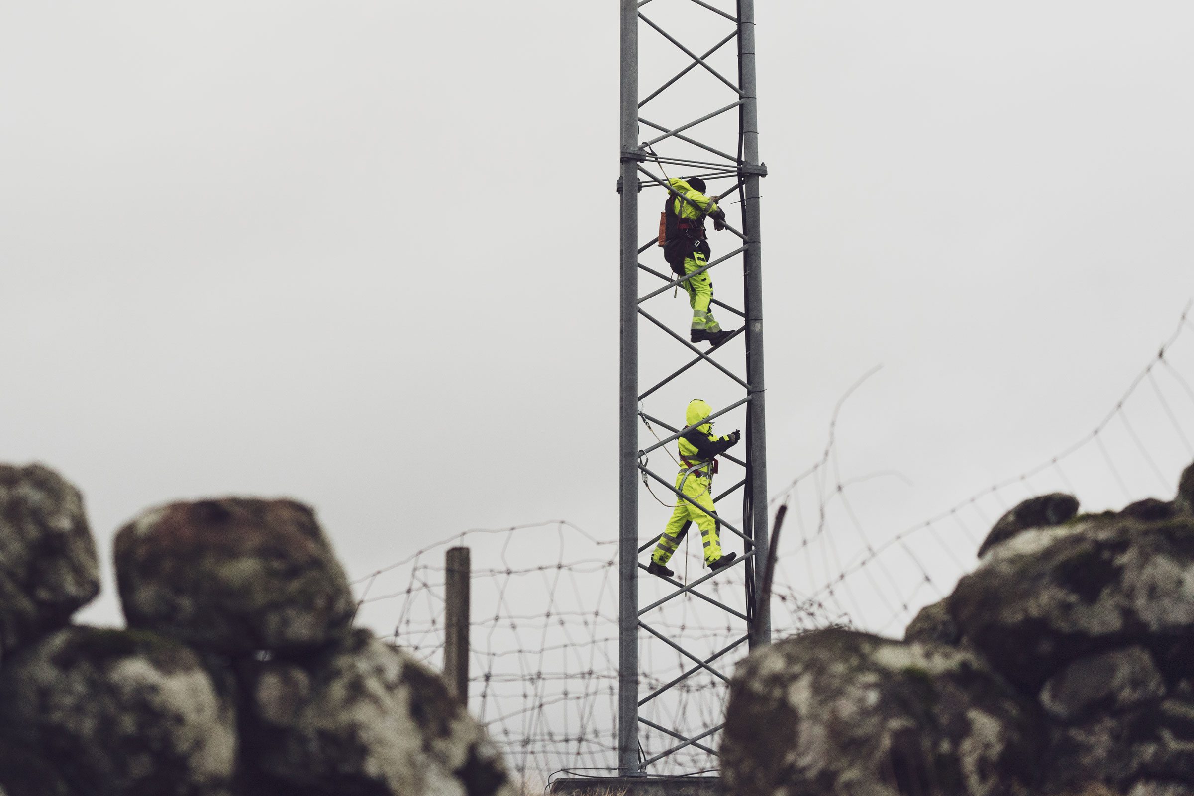 Nema kundar fáa nýtt farnet - Nema