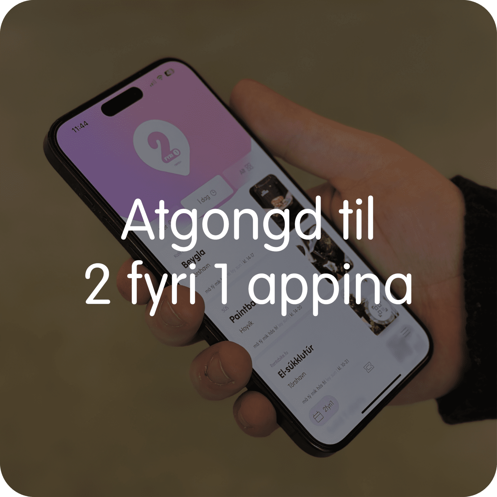 Stakhald Frítt Data - Nema