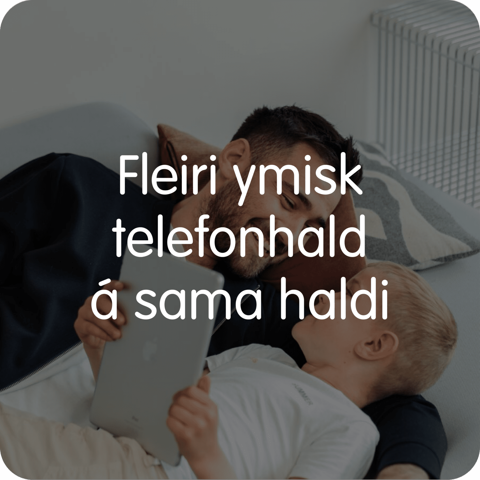 Stakhald Frítt Data - Nema